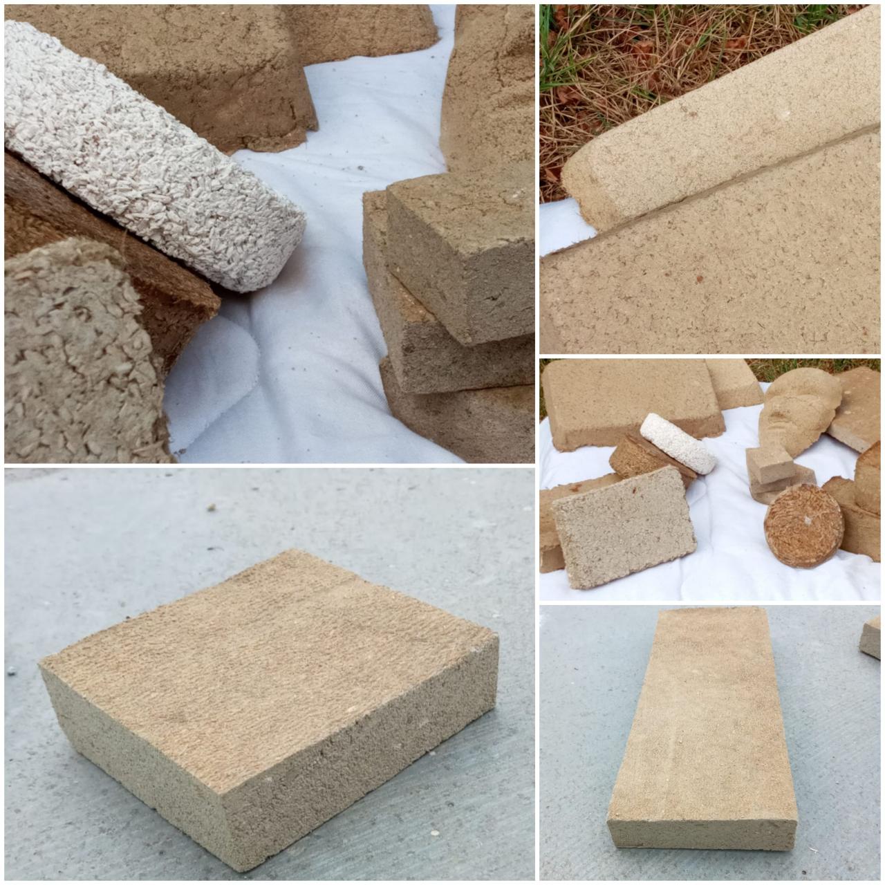 A Botanical Cure for Construction Sector’s Heavy Carbon Emissions – Zavit