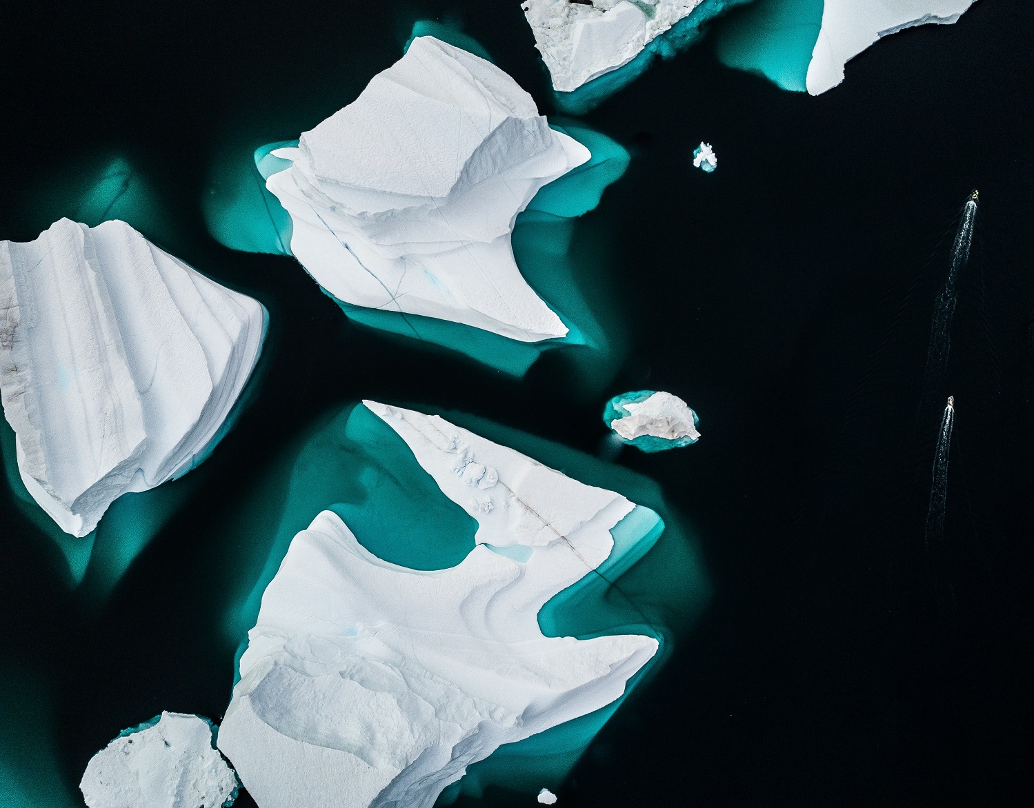 annie spratt - unsplash | זווית | סוכנות ידיעות למדע ולסביבה