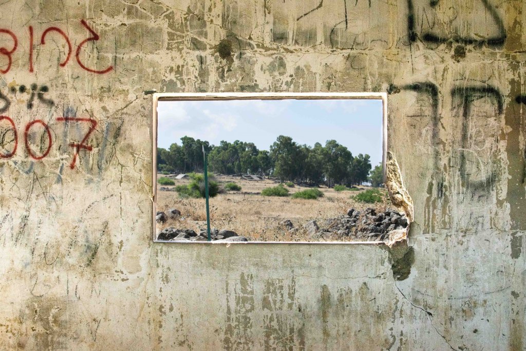 העקבות והצלקות שהותירו המלחמות בטבע הישראלי | זווית | סוכנות ידיעות ...