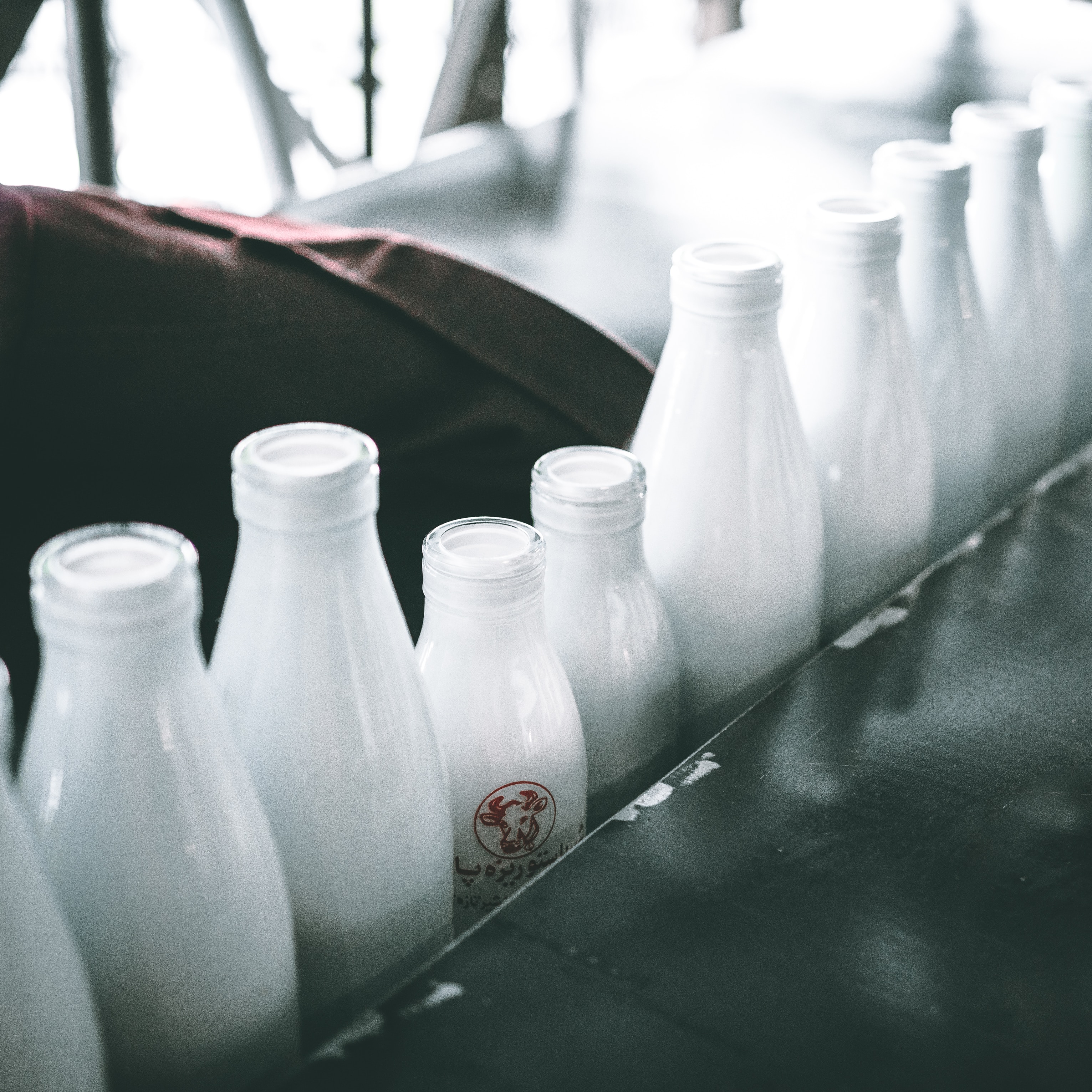 photo-of-milk-bottle-lot-stockpack-unsplash.jpg | זווית | סוכנות ידיעות ...